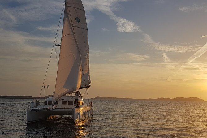 Private Catamaran Beach Hopping in Ibiza - Reasons to Book