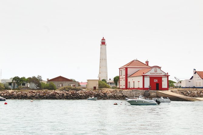 Private Catamaran Boat Tour - Ria Formosa - Onboard Amenities and Features