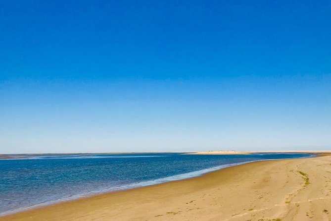 Private Catamaran Boat Tour - Ria Formosa - Reviews and Testimonials From Recent Guests