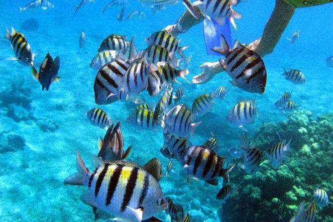 Private Catamaran Booze Cruise & Snorkeling - Final Thoughts