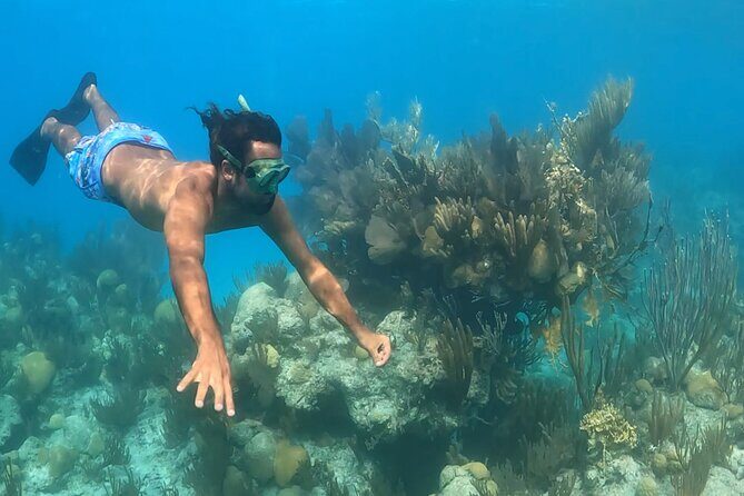 Private Catamaran Charter on Elusive - Authentic Experiences and Genuine Customer Feedback