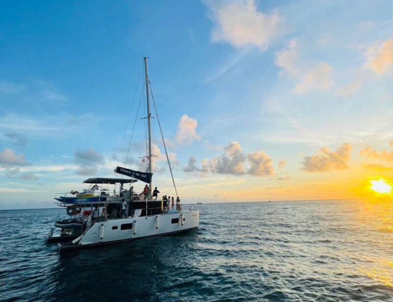 Private Catamaran Charter to Coral Island - Why This Tour Offers Great Value