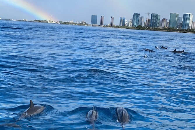 Private Catamaran Cruise and Snorkeling Tour in Honolulu - Tour Pricing and Booking Information