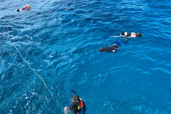 Private Catamaran Cruise and Snorkeling Tour in Honolulu - Exploring Oahus East Coastline