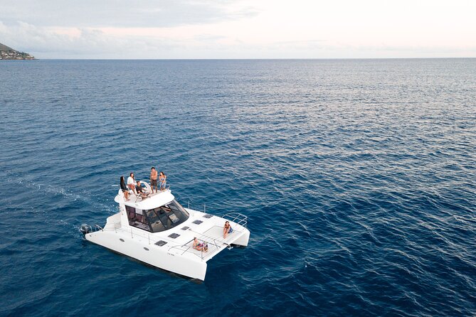 Private Catamaran Cruise and Snorkeling Tour in Honolulu - Wildlife Spotting and Marine Life Encounters