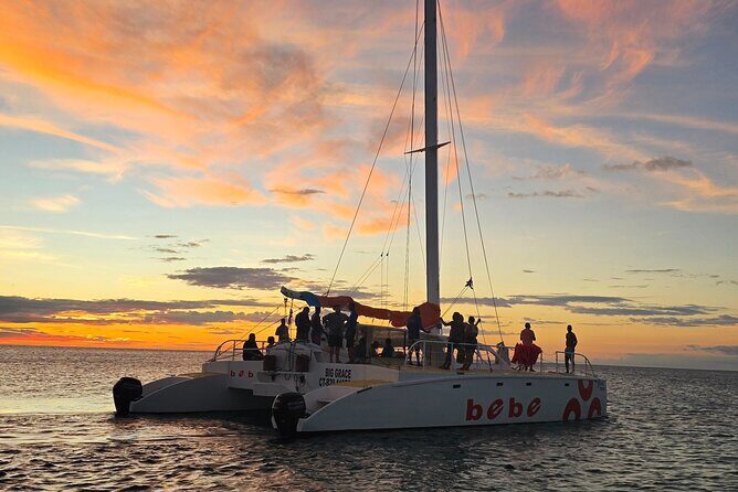 Private Catamaran Cruise to Bahia de las Aguilas - Who Should Consider This Tour?