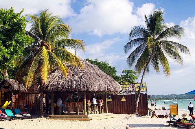 Private Catamaran Cruise Tour in Negril Beach and Rick's Cafe - Who Should Consider This Tour?