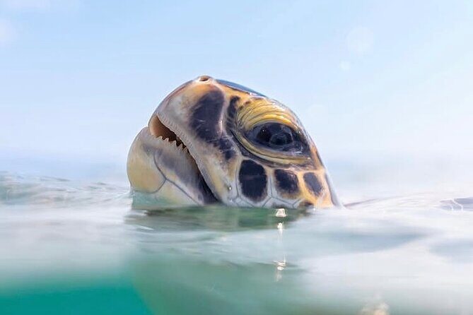 Private catamaran sail & snorkel - FAQ