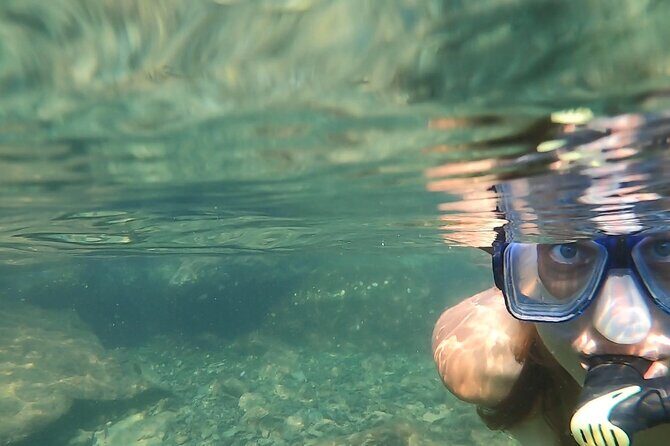 Private Catamaran: Snorkel, Swim and Dolphin Watching - Final Thoughts