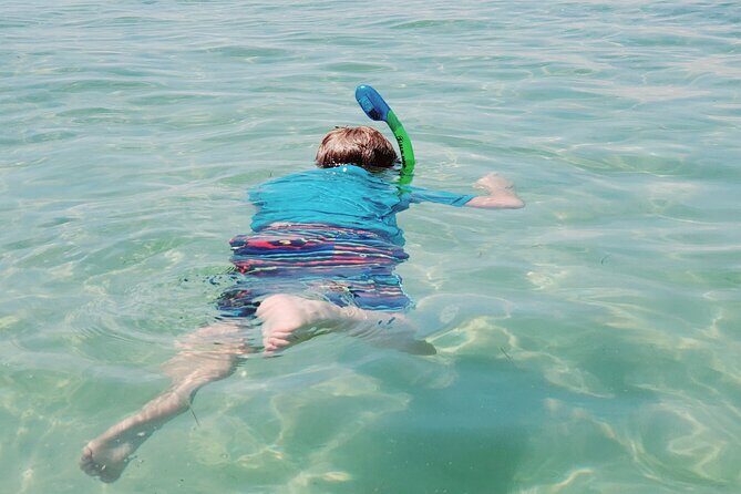 Private Catamaran: Snorkel, Swim and Dolphin Watching - FAQs