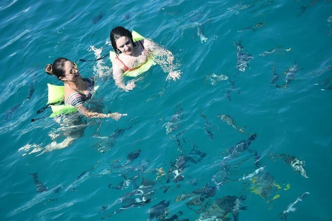 Private Catamaran Snorkeling Cruise in Los Cabos - FAQ