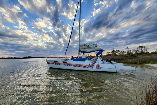 Private Catamaran Sunset Cruise with Dolphin watching - An In-Depth Look at the Cruise Experience