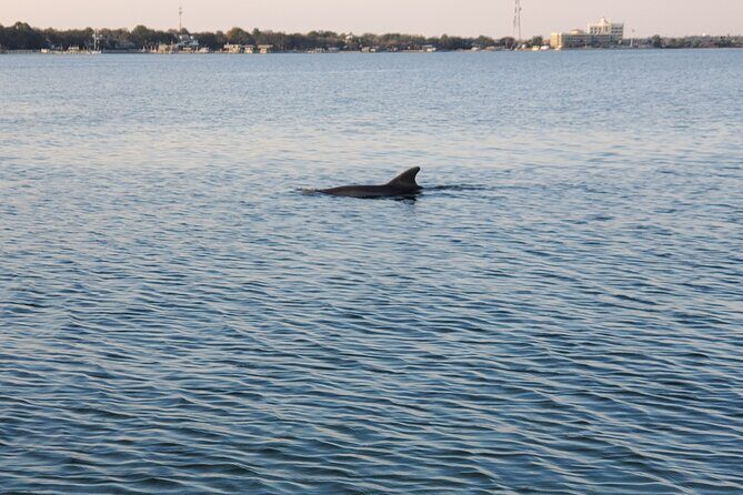 Private Catamaran Sunset Cruise with Dolphin watching - Final Thoughts