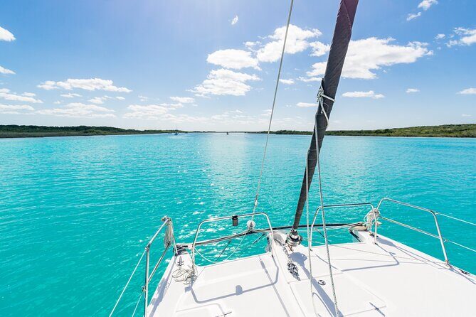 Private Catamaran Tour - An In-Depth Look at the Catamaran Tour