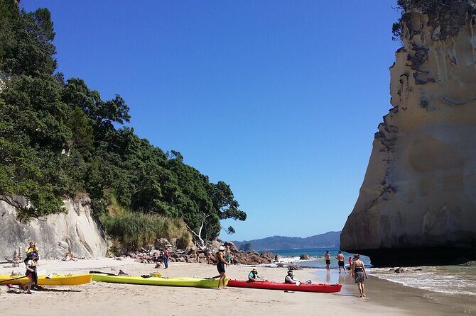 [PRIVATE] Cathedral Cove and Hot Water Beach - An In-Depth Look at the Tour Experience