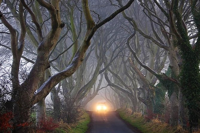 Private Causeway Coastal Tour Rope Bridge & Giants Causeway - Customizing Your Tour Experience