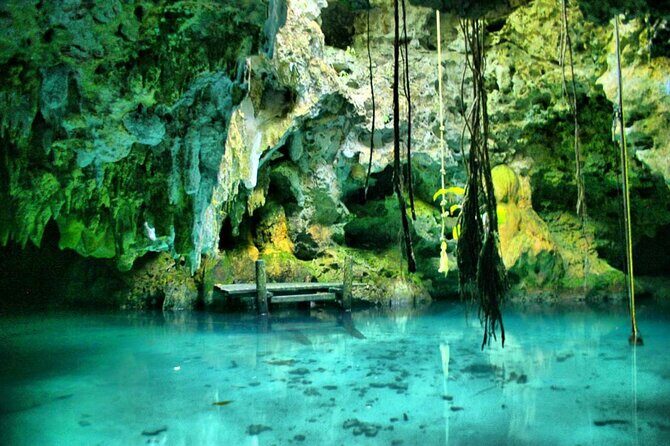 Private Cave Cenote, Open Cenote and Lunch Tour - Reviews and Feedback