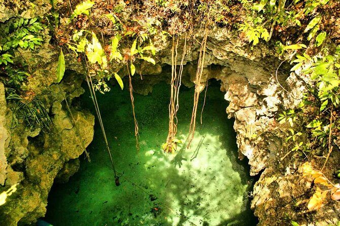 Private Cave Cenote, Open Cenote and Lunch Tour - FAQs