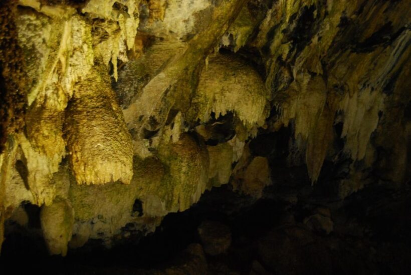 Private Caves tour with a Geologist - Discovering the Hidden Volcanic Marvels of the Azores