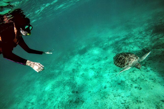 Private Cenote & Snorkeling Tour with Turtles in Akumal - Exploring the Cenote: Taak Bi Ha
