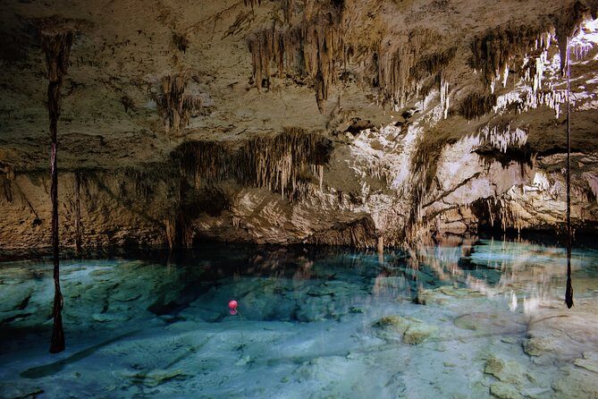 Private Cenote & Snorkeling Tour with Turtles in Akumal - Inclusive Amenities: Gear, Fees, and Food