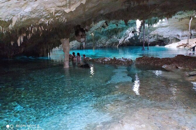 Private Cenotes tour - Transportation and Logistics
