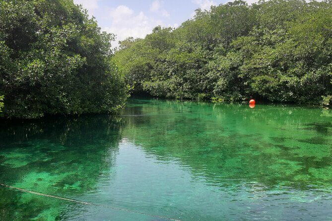 Private Cenotes tour - Final Thoughts: Is This Tour Right for You?