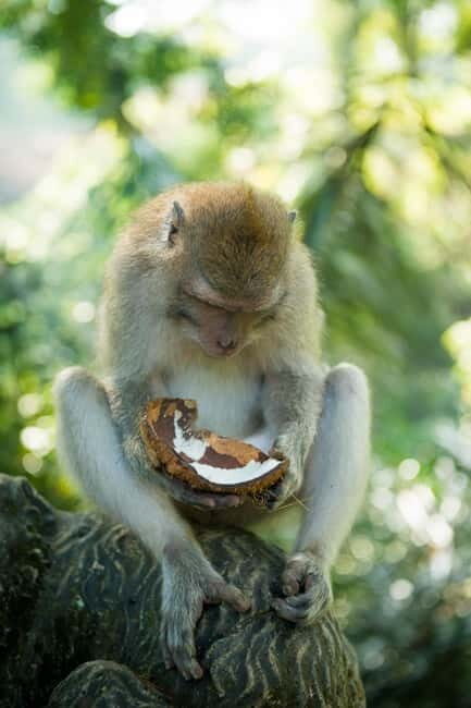 Private Central Bali Day Tour  Customizable Itinerary - Authentic Experiences vs. Caveats