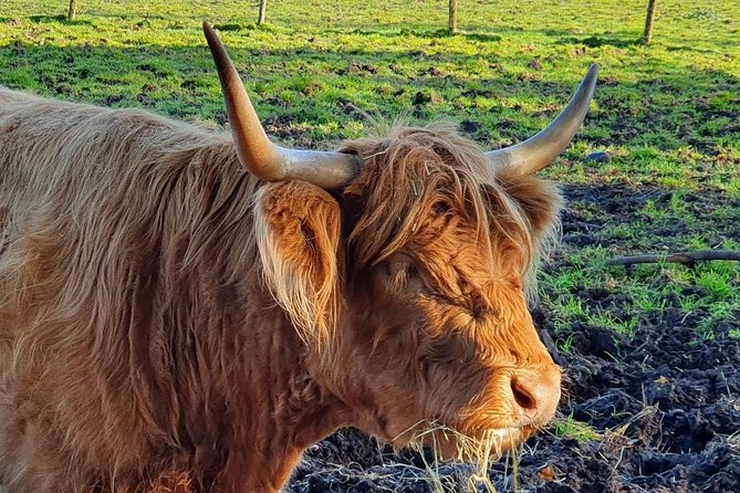 Private Central Highlands Driving Tour - Tour Overview