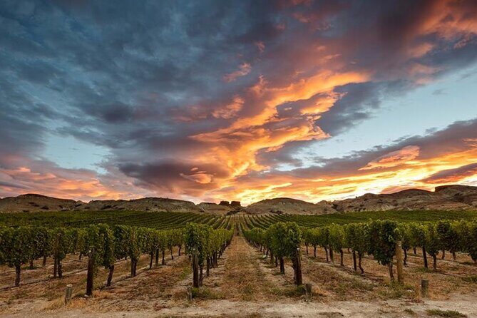 Private Central Otago Wine tasting Tour with Gourmet Lunch. - Final Thoughts: Is This Tour Right for You?