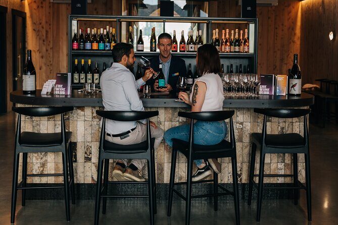 Private Central Otago Wine Tour-Cloudy Bay Shed Lunch & Amisfield - Final Thoughts