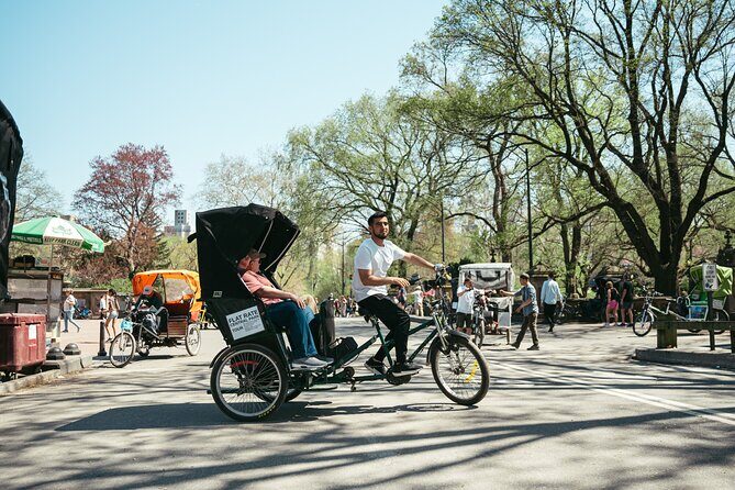 Private Central Park Guided Pedicab Tour - Price, Value, and Practical Tips
