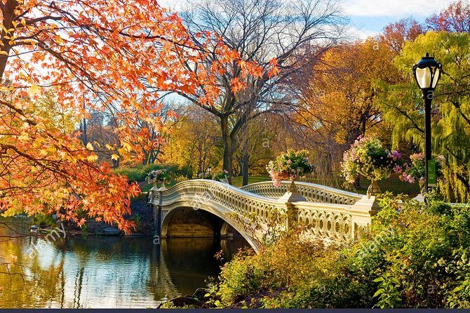 Private Central Park Walking Guided Tour - Itinerary Breakdown