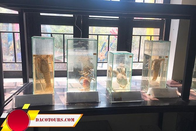 Private Cham Island Snorkeling Tour, Nice Beach, Fishing villages - What Travelers Are Saying