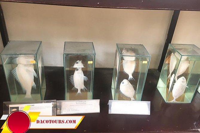 Private Cham Island Snorkeling Tour, Nice Beach, Fishing villages - The Sum Up: Is This Tour Right for You?