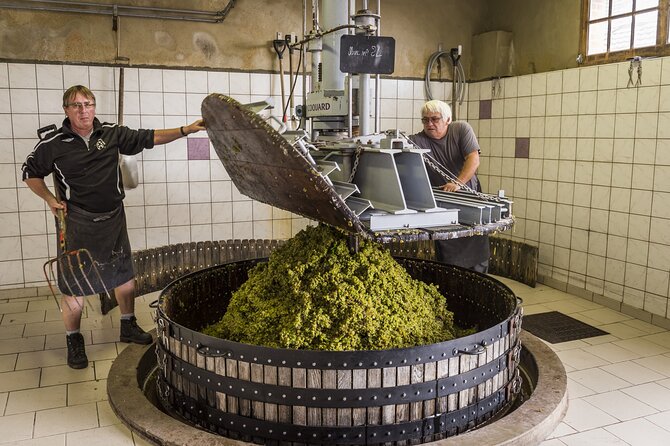 Private Champagne Day Trip to Vineyards of Reims With French Lunch From Paris - Discovering the Historic City of Reims