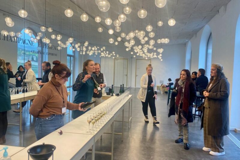 Private Champagne Moet Chandon, Pommery, Pressoria Day trip - Who Should Consider This Tour?