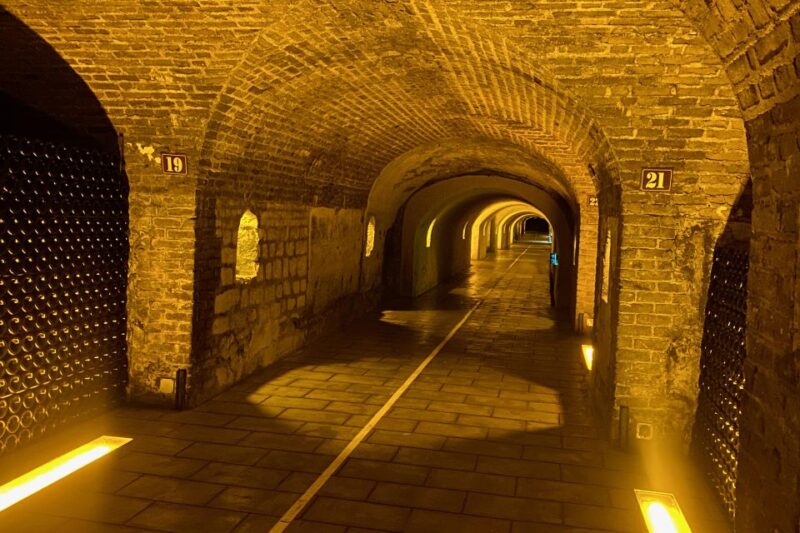 Private Champagne Moët et Chandon, Pommery, Pressoria - The Crown Jewel: Reims Cathedral