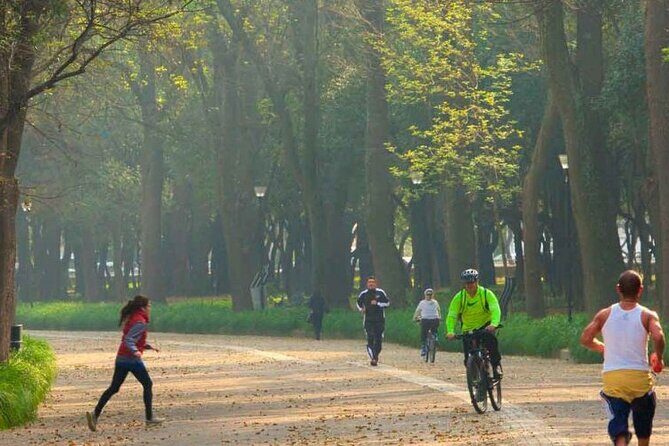 Private Chapultepec Park by Bike Guided Tour - The Ride and Atmosphere