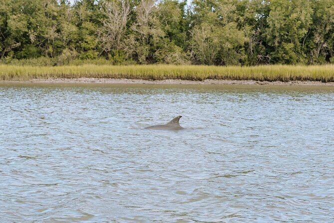 Private Charleston Dolphin Tour - Discover Charleston’s Coastal Charm with a Private Dolphin Tour