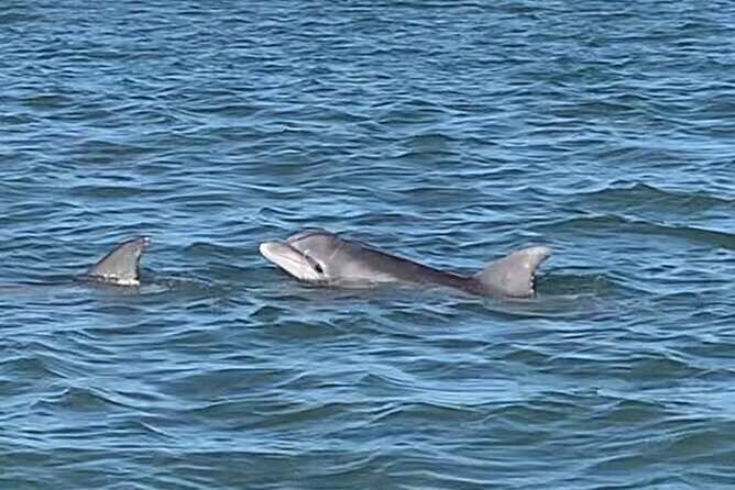 Private Charleston Sunset & Dolphin Cruise - What You Can Expect on the Boat