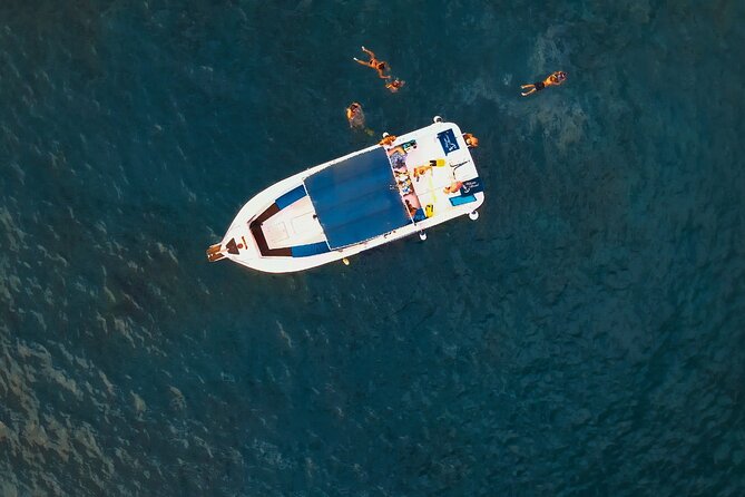 Private Charter 3 Hours Whale Encounter Puerto Colon Adeje - Frequently Asked Questions