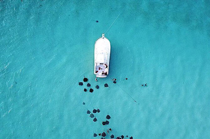 Private Charter 34ft Express Cruiser Stingay City Reef Snorkeling - Key Points