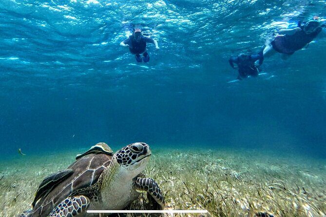 Private Charter 34ft Express Cruiser Stingay City Reef Snorkeling - Wrapping It Up