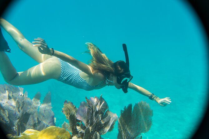 Private Charter 6 Passenger Sandbar, Snorkel, Dolphins - An Authentic Look at the Experience