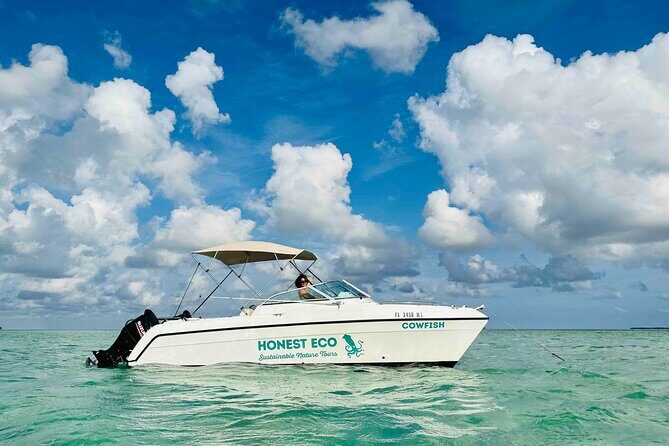 Private Charter 6 Passenger Sandbar, Snorkel, Dolphins - Frequently Asked Questions