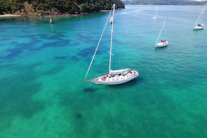 Private Charter Bay of Islands - Why This Tour Might Be Just Right for You