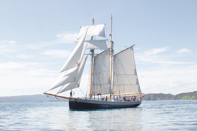 Private Charter Bay of Islands - The Real Experiences from Others