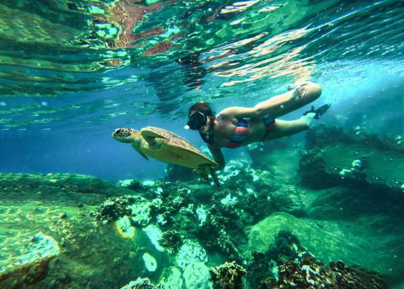 Private Charter Boat Around Koh Tao Snorkel Paradise - Practical Considerations and Tips