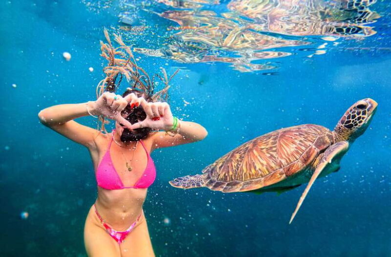 Private Charter Boat Around Koh Tao Snorkel Paradise - The Sum Up